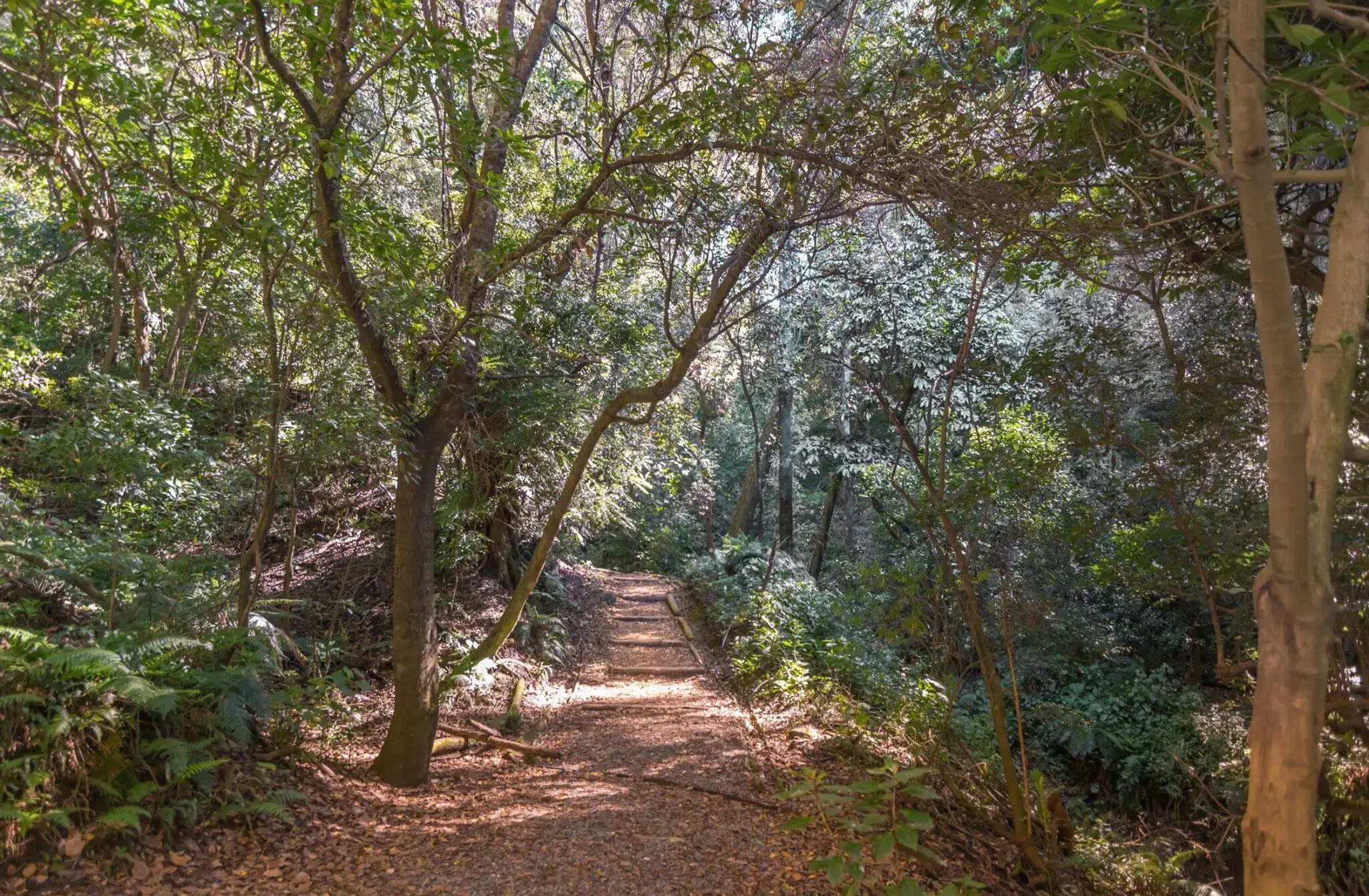 Parque Nacional Sector Prusia – Tobio Lodge